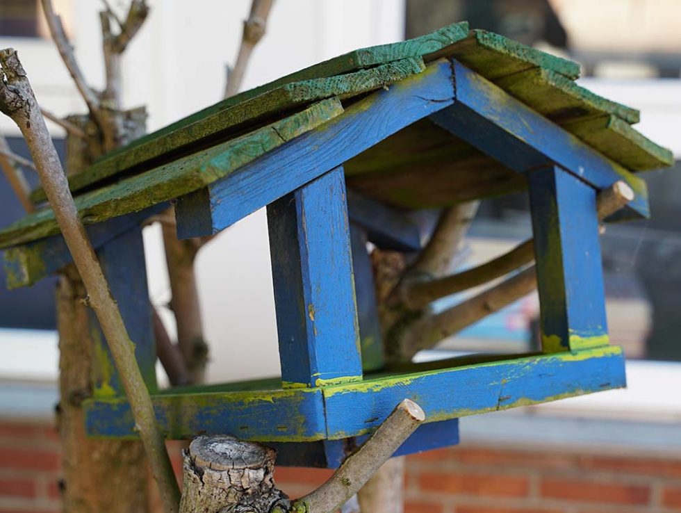 CTR | Gemeinschaftsschule Rendsburg